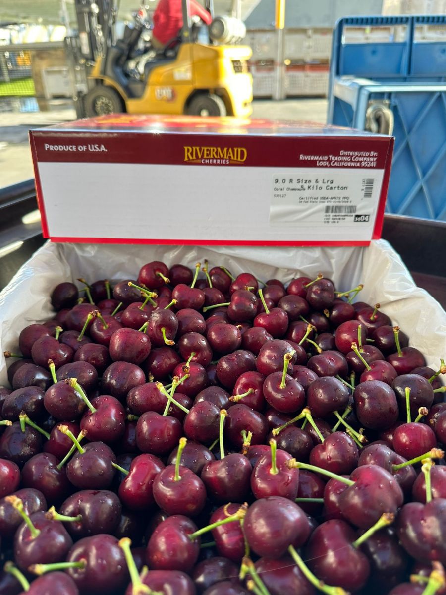 Cherry Royal lynn Mỹ, Bán quả cherry Royal lynn nhập khẩu Mỹ giá rẻ